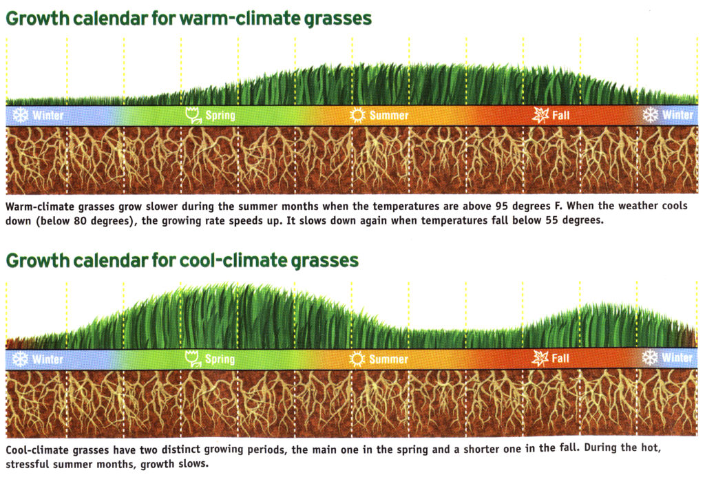 Lawn – Water Wise It