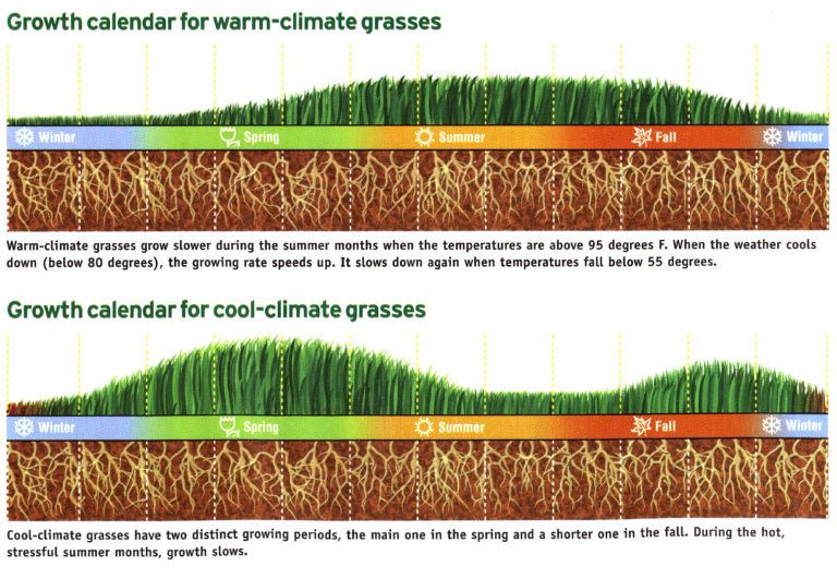 Lawn – Water Wise It