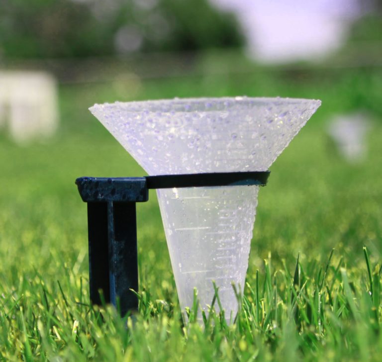 Lawn – Water Wise It